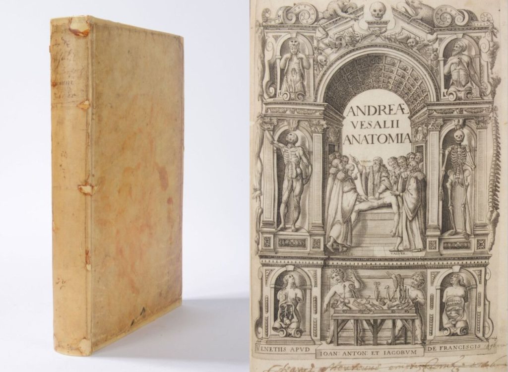 Andreae Vesalii Anatomia 1604 - André Vésale